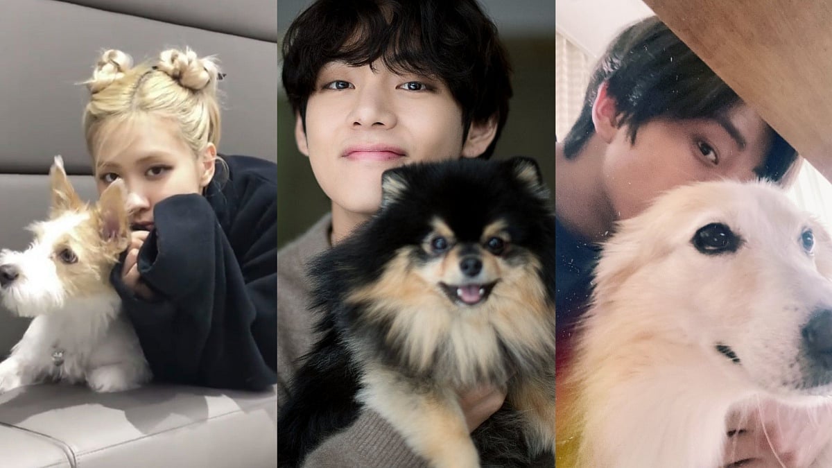 BTS' V to Blackpink's Rose: 10 cute K-pop idols with their super-cute pets