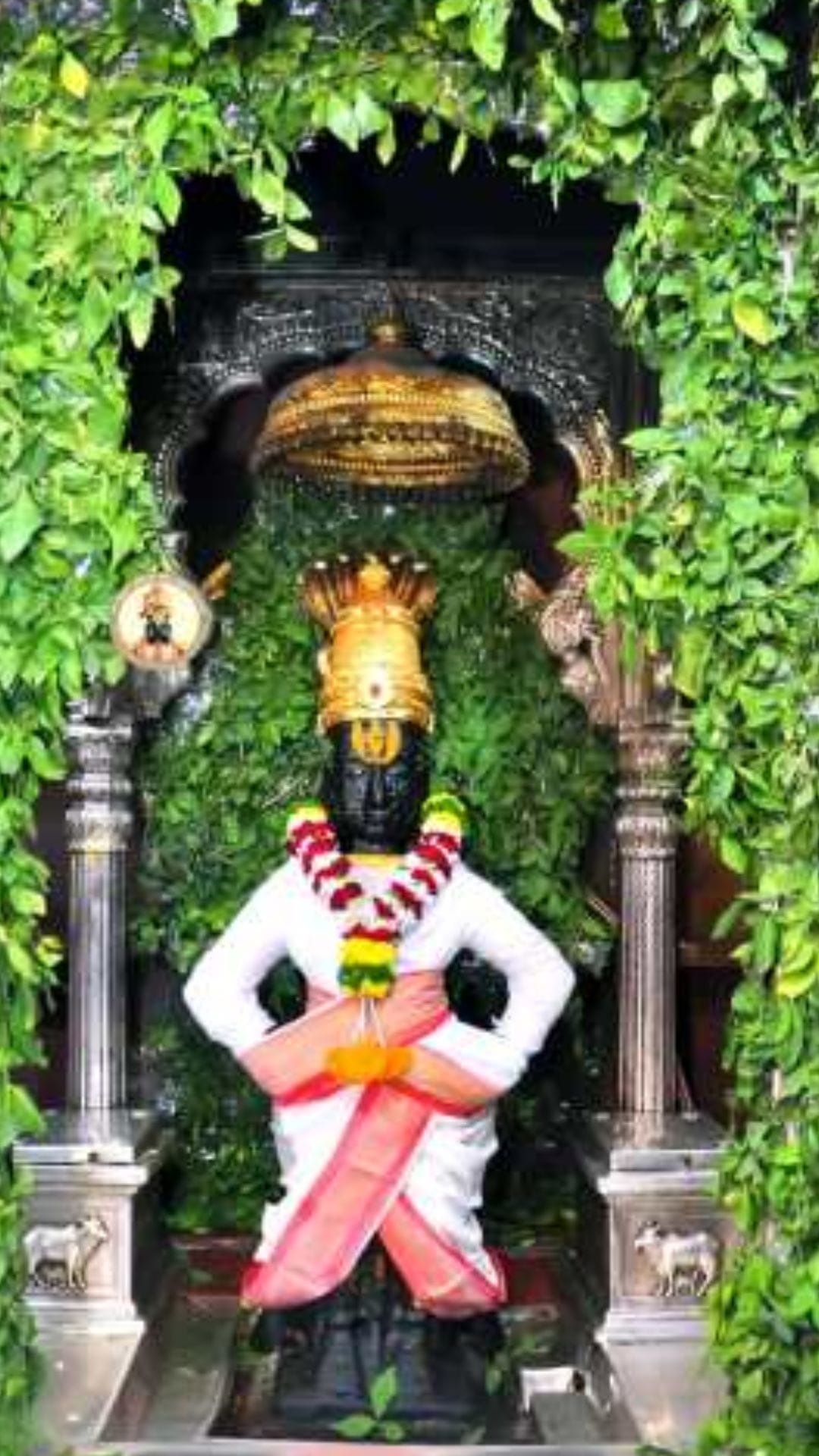 6 Names Of Lord Vithoba One Can Easily Chant This Ashadi Ekadashi