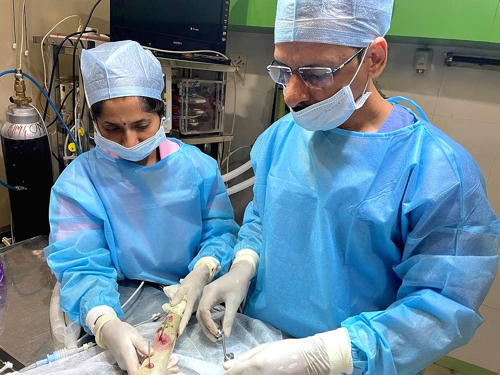 Pune Pet Dog Undergoes Laparoscopic Gall-Bladder Removal Surgery