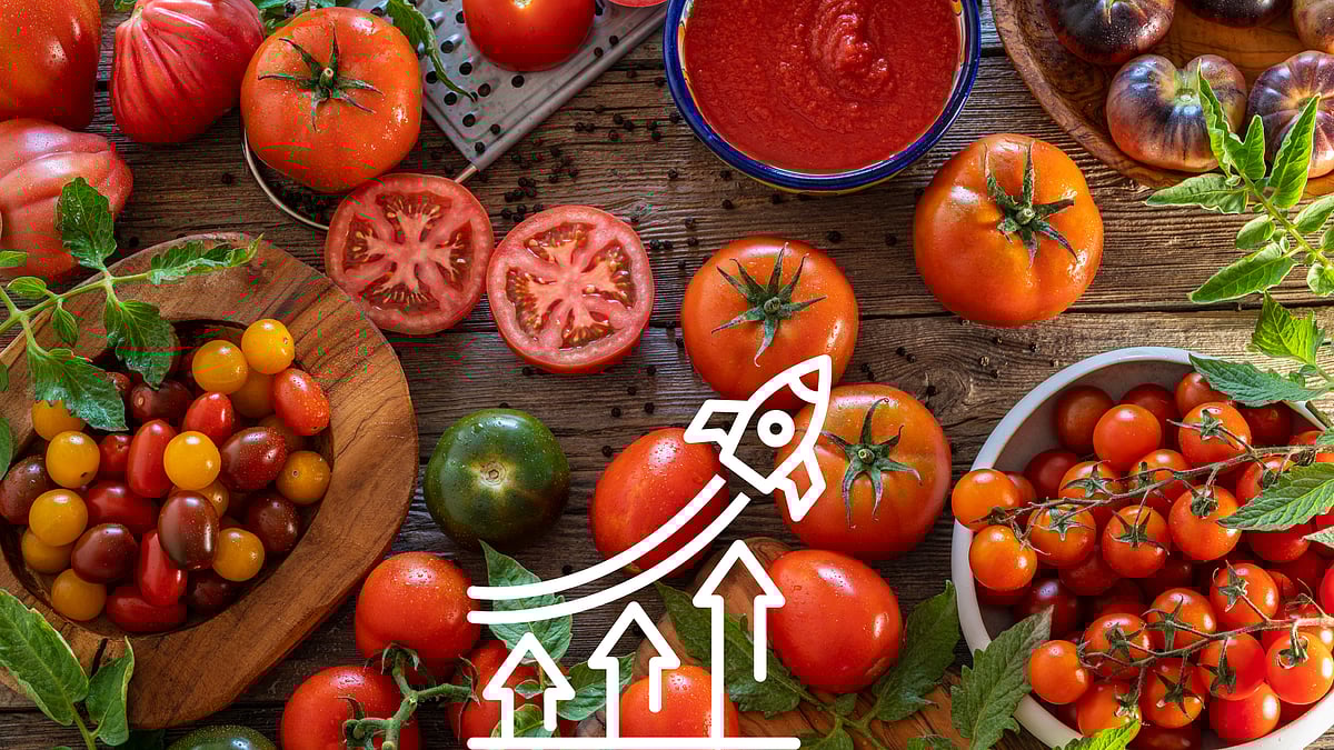 Tomato Price Rise: 5 Simple Ingredients You Can Substitute Tomatoes In ...