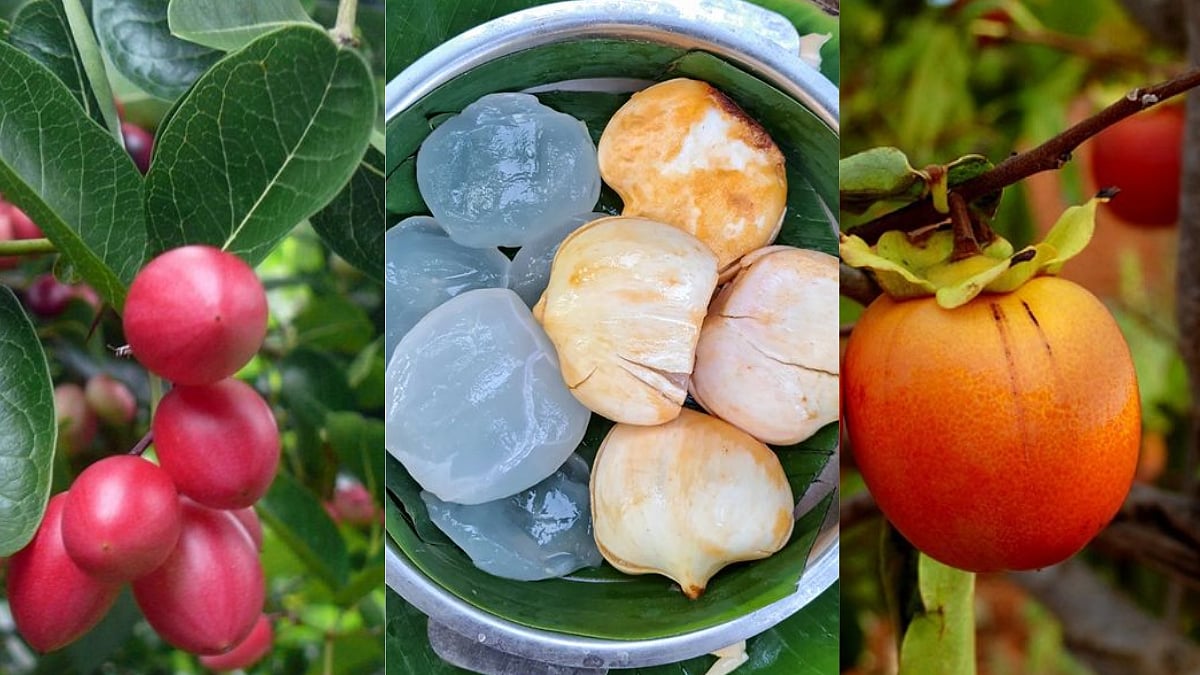 7 Extremely Rare Fruits Found In India That Will Leave You Amazed