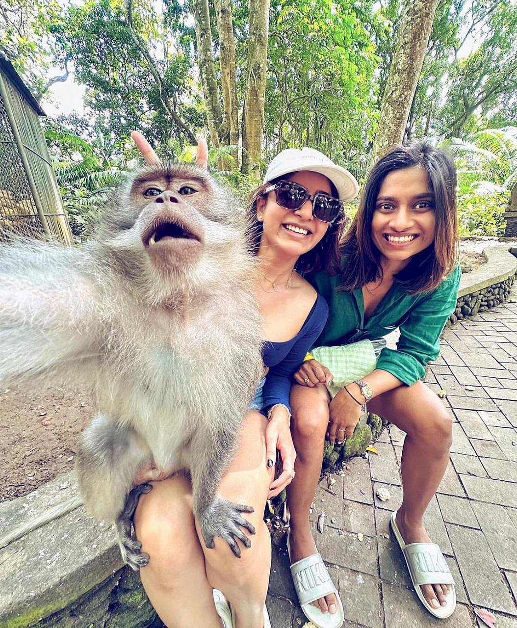 Monkey Steals Samantha Ruth Prabhu's Sunglasses In Bali