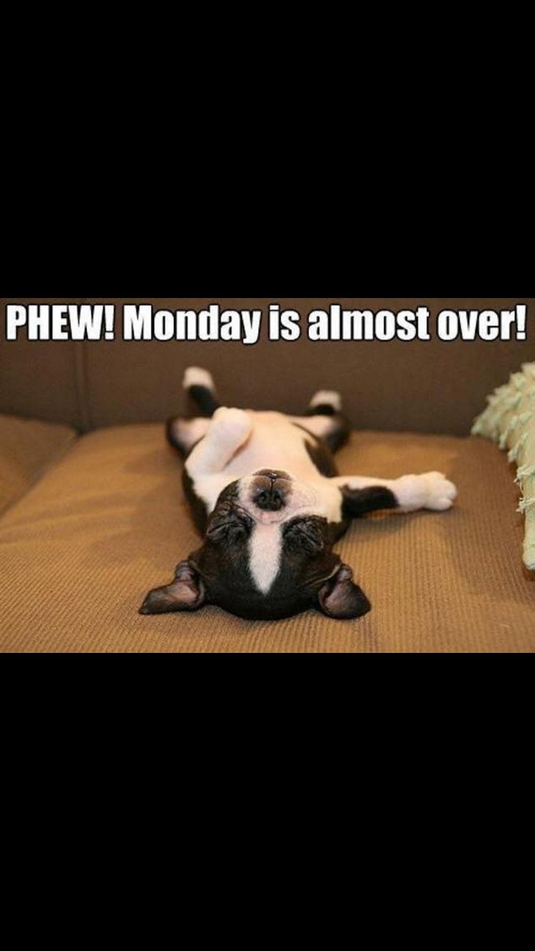 7 Funny Memes To Beat Monday Blues