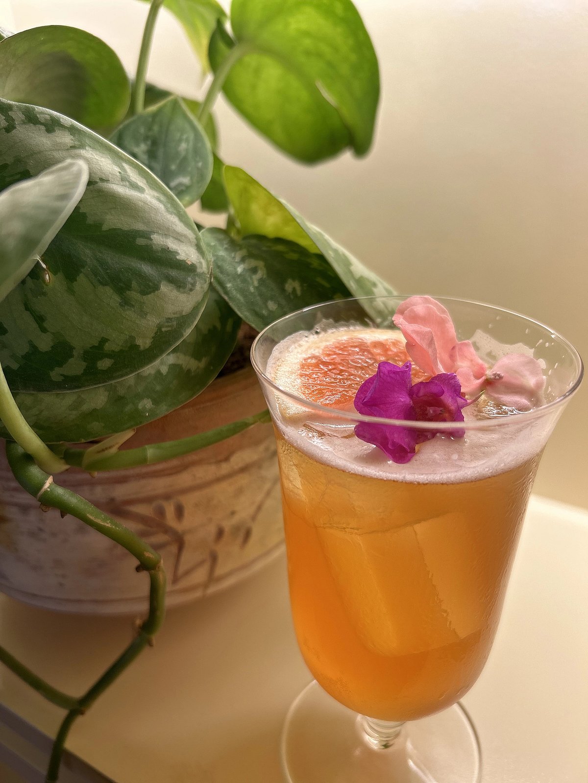 Beer basics: Know the difference between Ale and Lager and other types ...