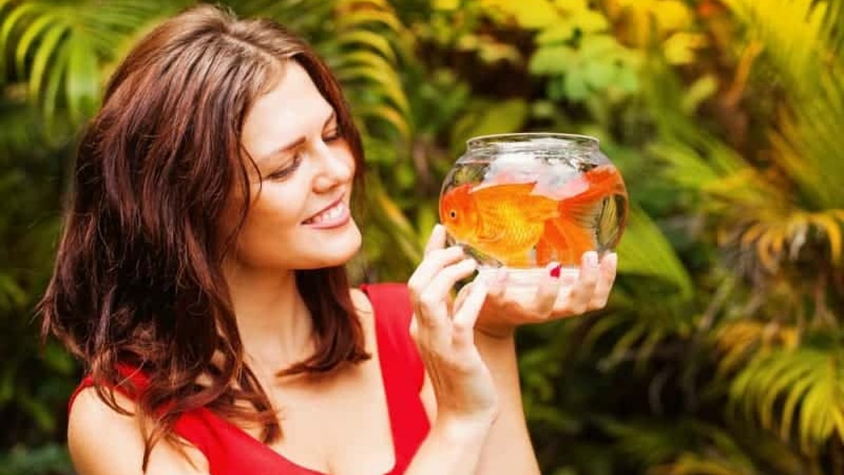 4 Cheapest And Low Maintenance Pets That Indians Can Own