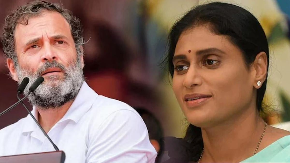 Y S Sharmila Extends Congratulations To Rahul Gandhi On MP Reinstatement Amidst 'Friendship ...
