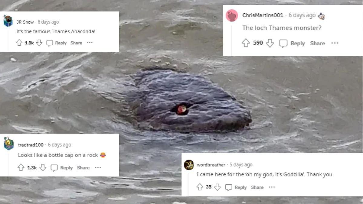 London: Loch Monster Spotted? Scary Image From River Thames Goes Viral