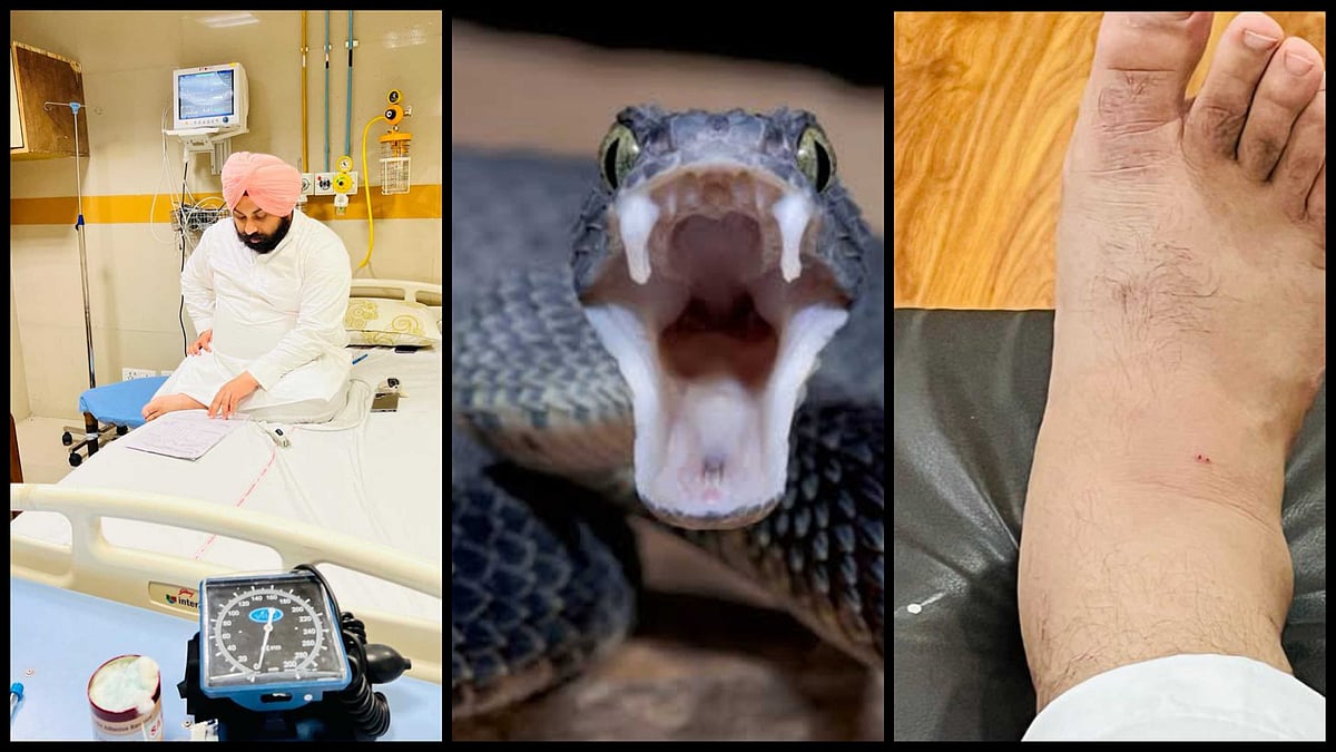 Snake Bites Punjab Minister Harjot Singh Bains During Flood Rescue ...