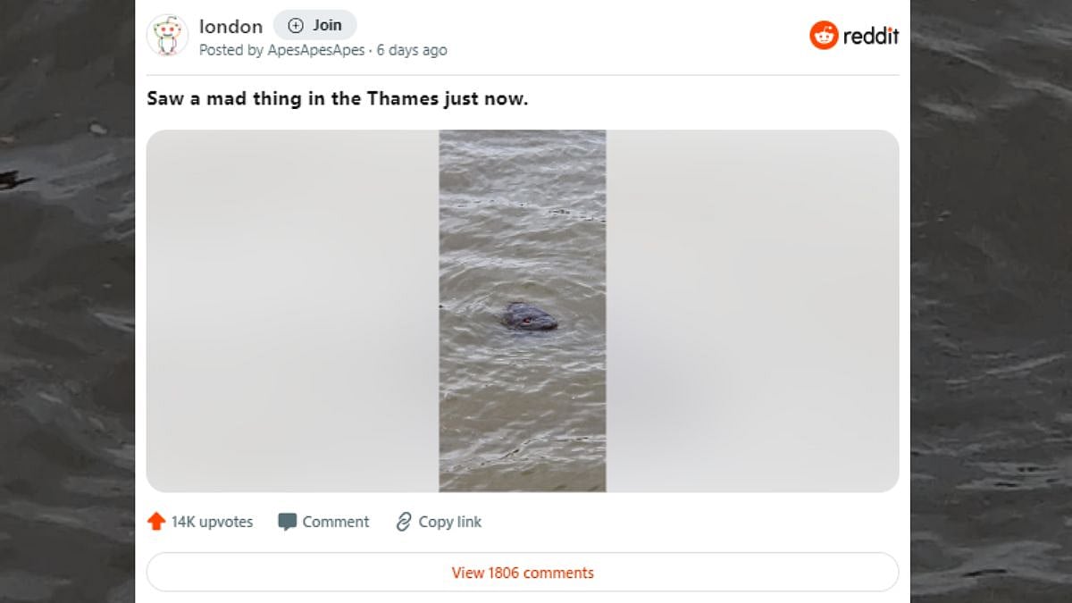 London: Loch Monster Spotted? Scary Image From River Thames Goes Viral