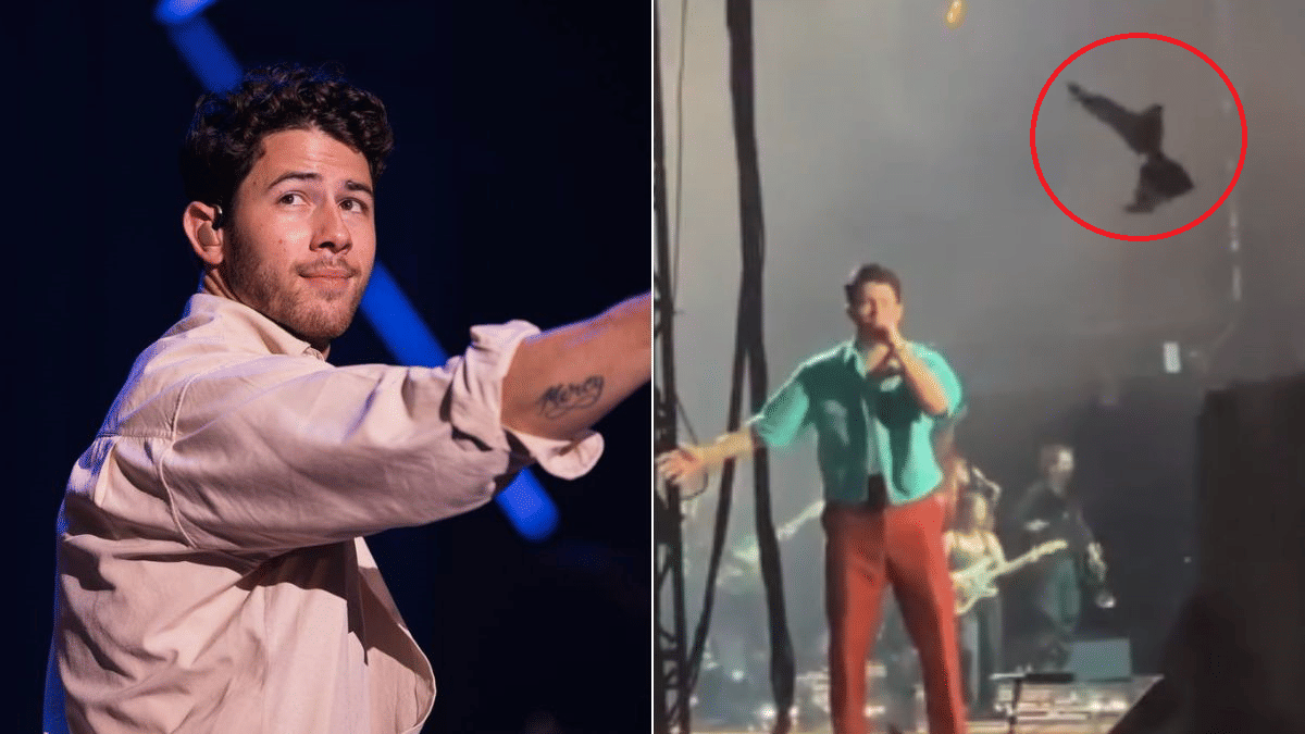 WATCH: Fan Throws Her Bra At Nick Jonas During NYC Concert - Here's ...