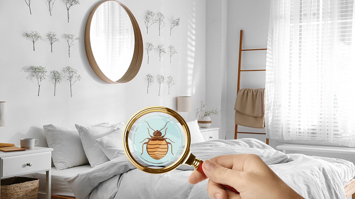 Sleeping on Germs: 7 Skin Infections Linked to Infrequent Bedsheet Washing