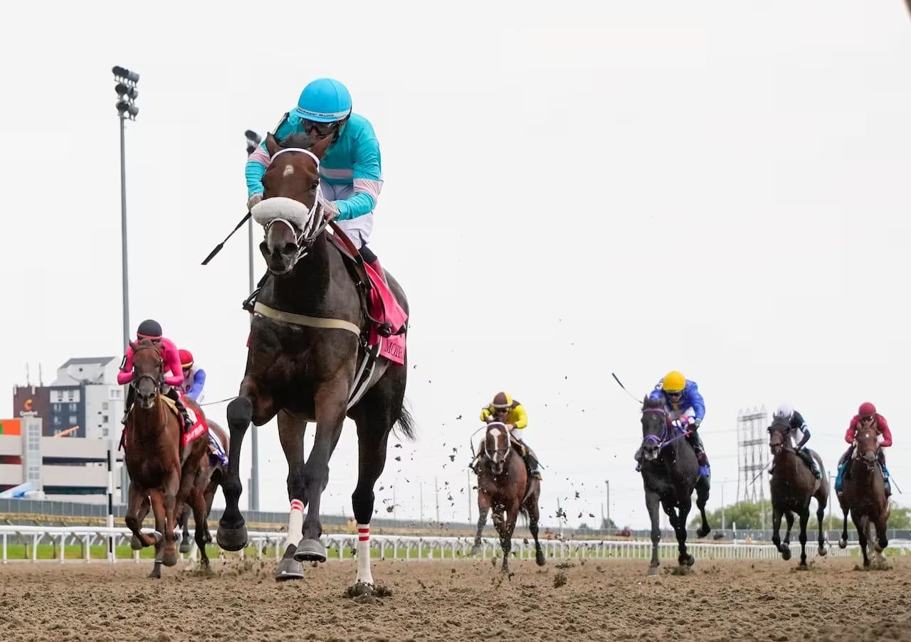 Pune Race Selections: Fast Rain Best For Akkasaheb Maharaj Trophy