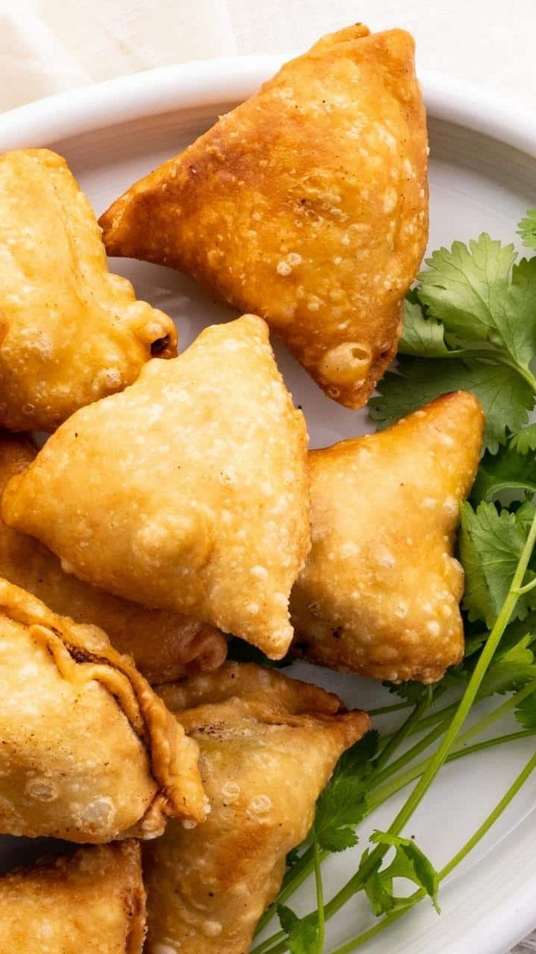 World Samosa Day: 4 Places In Sion To Treat Your Tastebuds With This ...