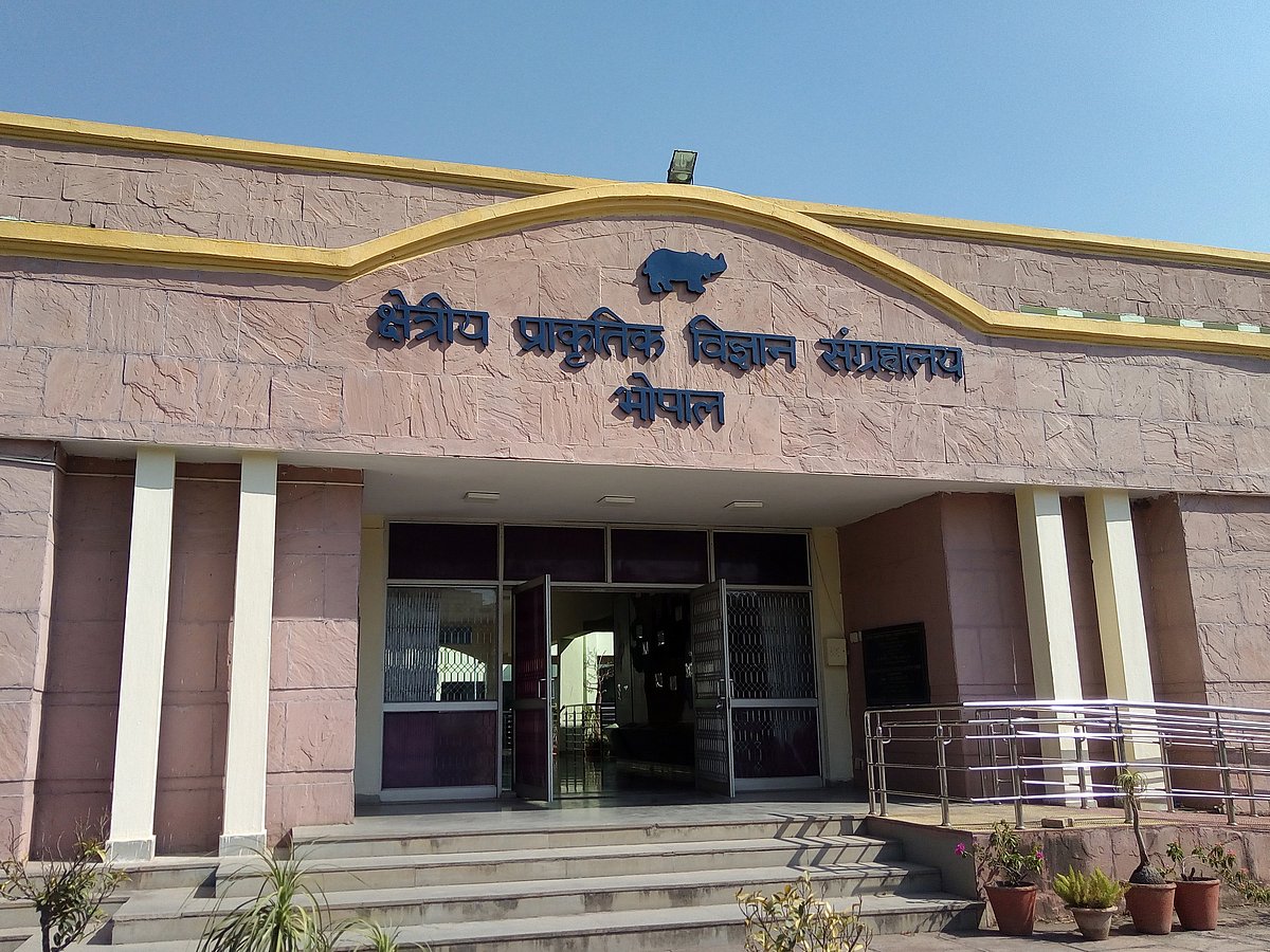 Die Statue von Bashu Varaha wird in der Galerie des Bhopal Museums ...