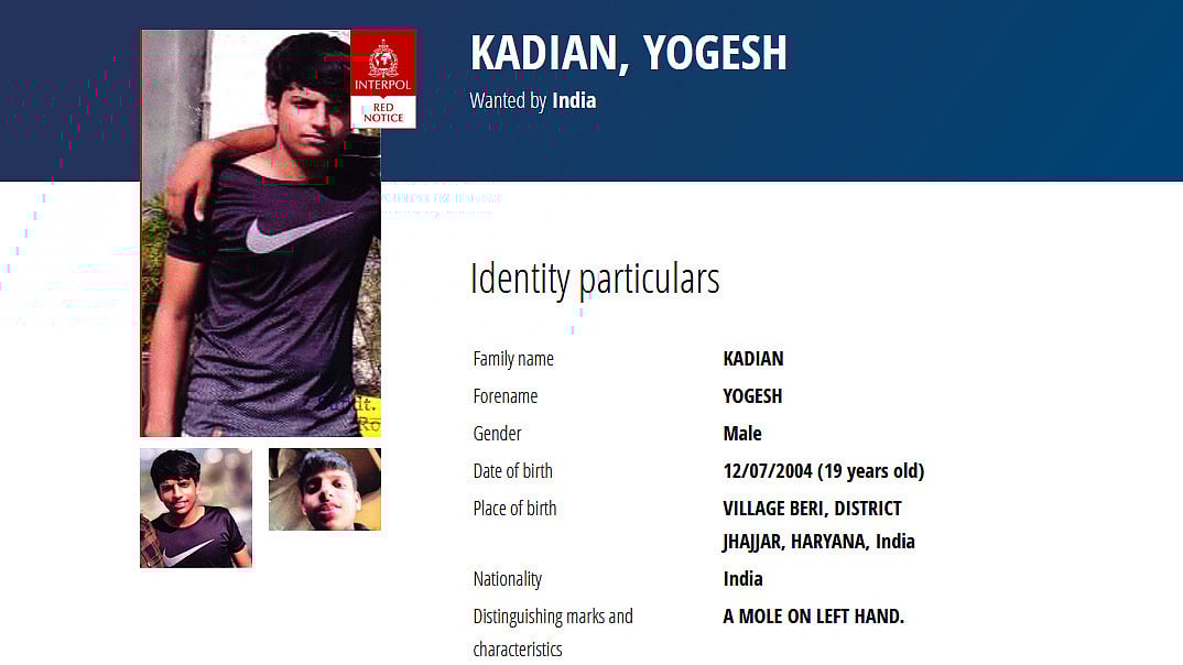 Who Is Yogesh Kadian? Interpol Issues Red Notice Against 19-Yr-Old Haryana Gangster Fled To US