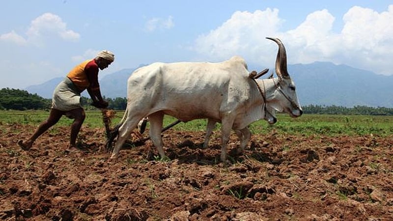 States need to distinguish between rich and poor farmers: Chief ...