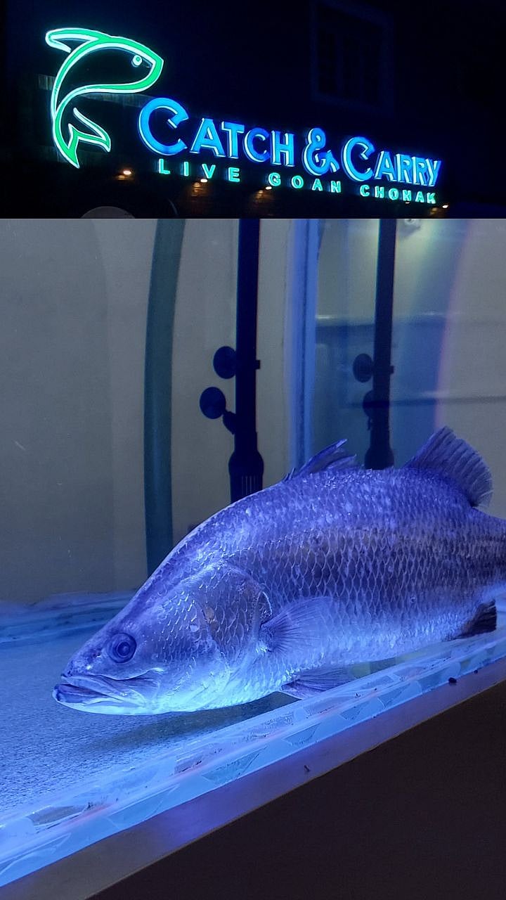 At Catch & Carry, take a pick of your favourite chonak 365 days in a ...