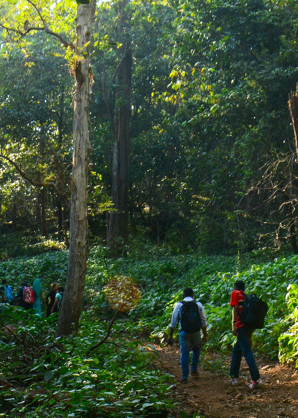 Things to wear and carry on your trekking trip in Goa