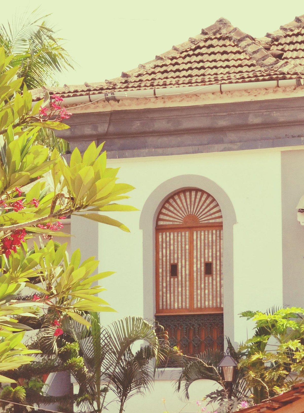 Who knew that shells could be used to make windows!