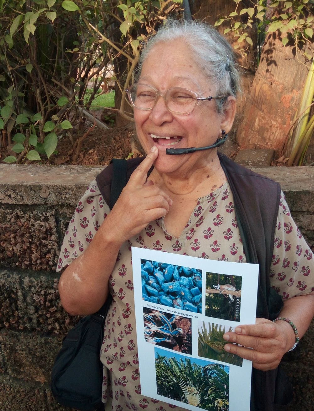International Women’s Day: These women in Goa show the way save the ...