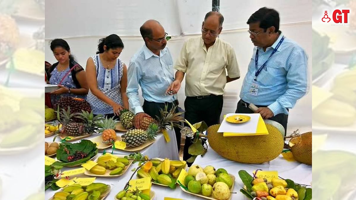 A fine festival of fruits in Goa