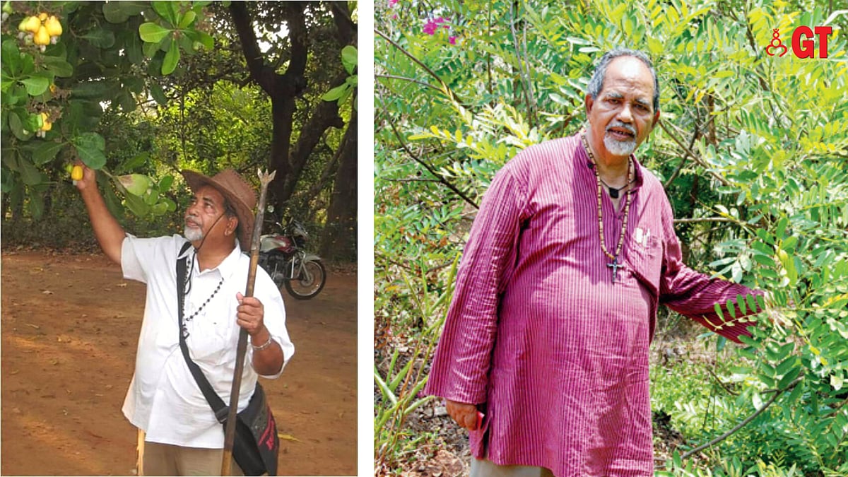 Goa's Green Revolution: From Revolution Day to Improved Agricultural ...