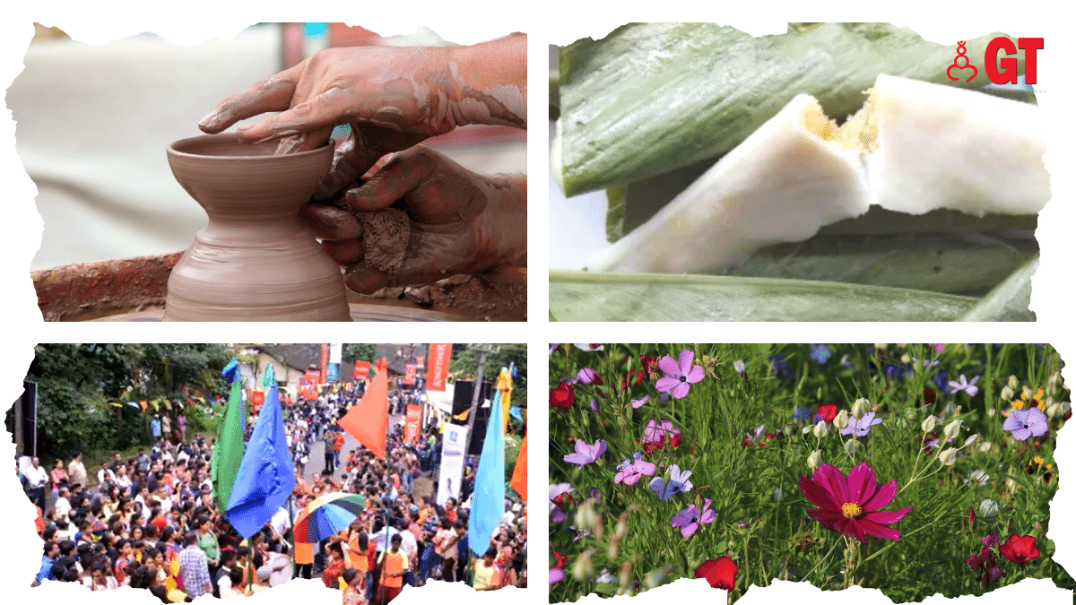 These 4 fests highlight Goa's culture and traditions. Don't miss them!