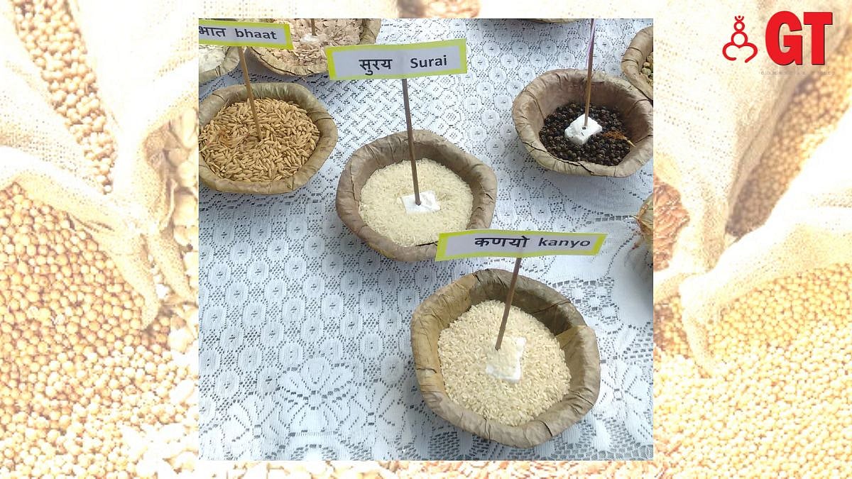 Goa Biodiversity Board to inaugurate seed bank tomorrow