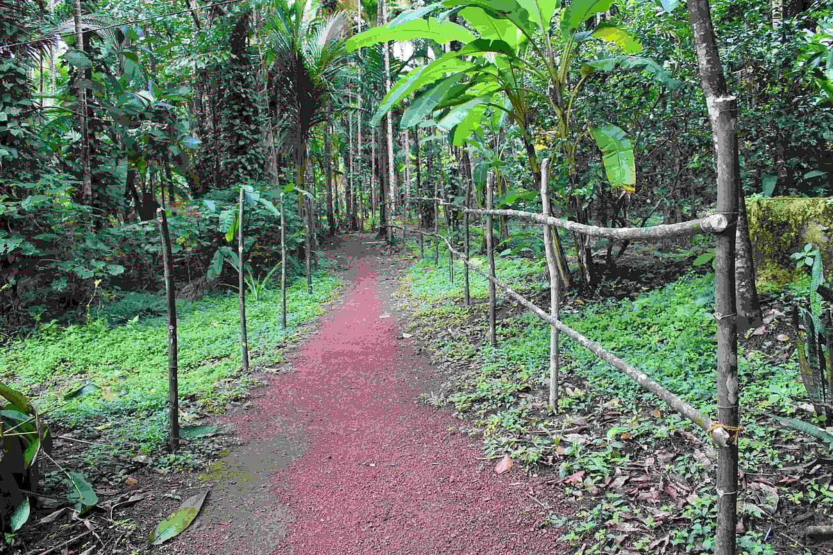This eco-farm in Goa is a treat for the senses|NV Eco farms|Gomantak Times