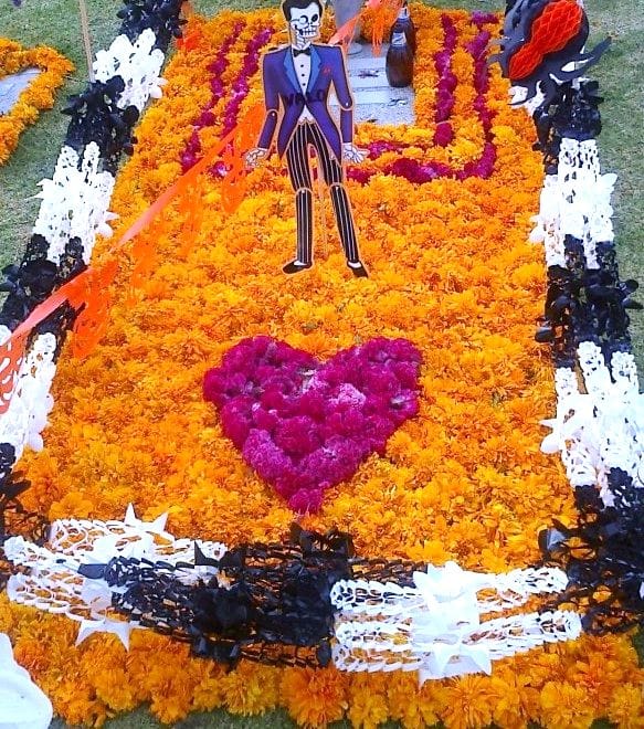 Butterflies, nematodes and marvellous marigolds in Goa