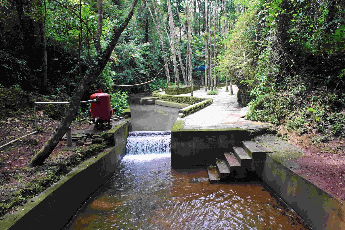 This eco-farm in Goa is a treat for the senses|NV Eco farms|Gomantak Times