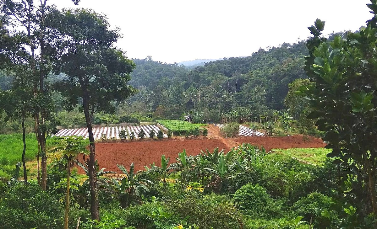 World Food Day: Getting back to nature in Goa