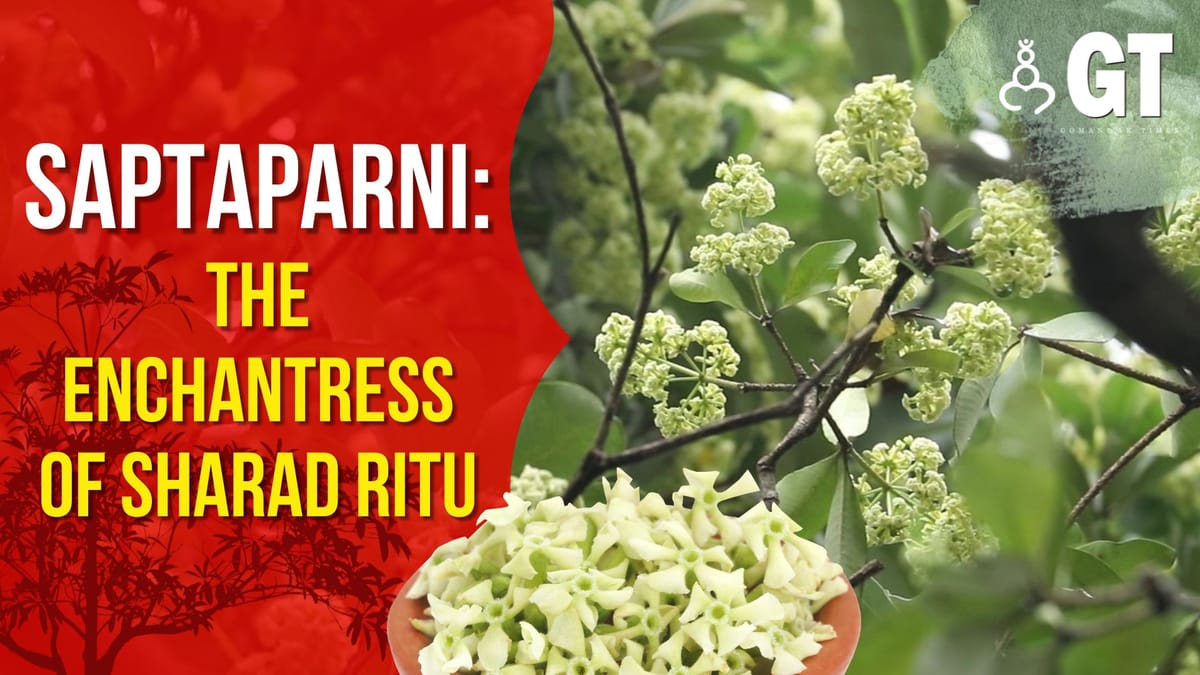 Exploring Goan folklore – the ‘rakondar’ | Gomantak Times