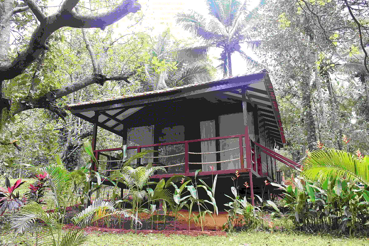 This eco-farm in Goa is a treat for the senses|NV Eco farms|Gomantak Times