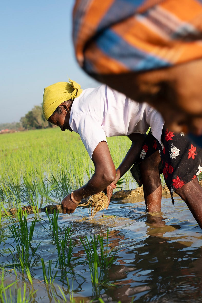 Explore Goan food culture at this photo exhibition|Gomantak Times
