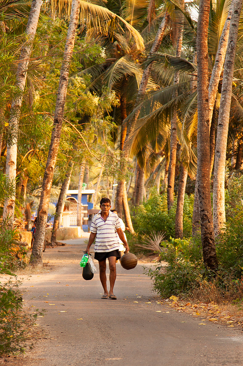 Explore Goan food culture at this photo exhibition|Gomantak Times