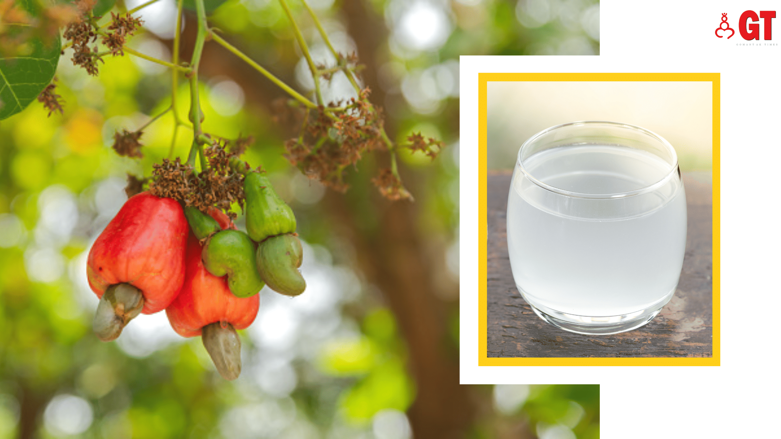 Heard about this amazing non-alcoholic drink from cashew apples?