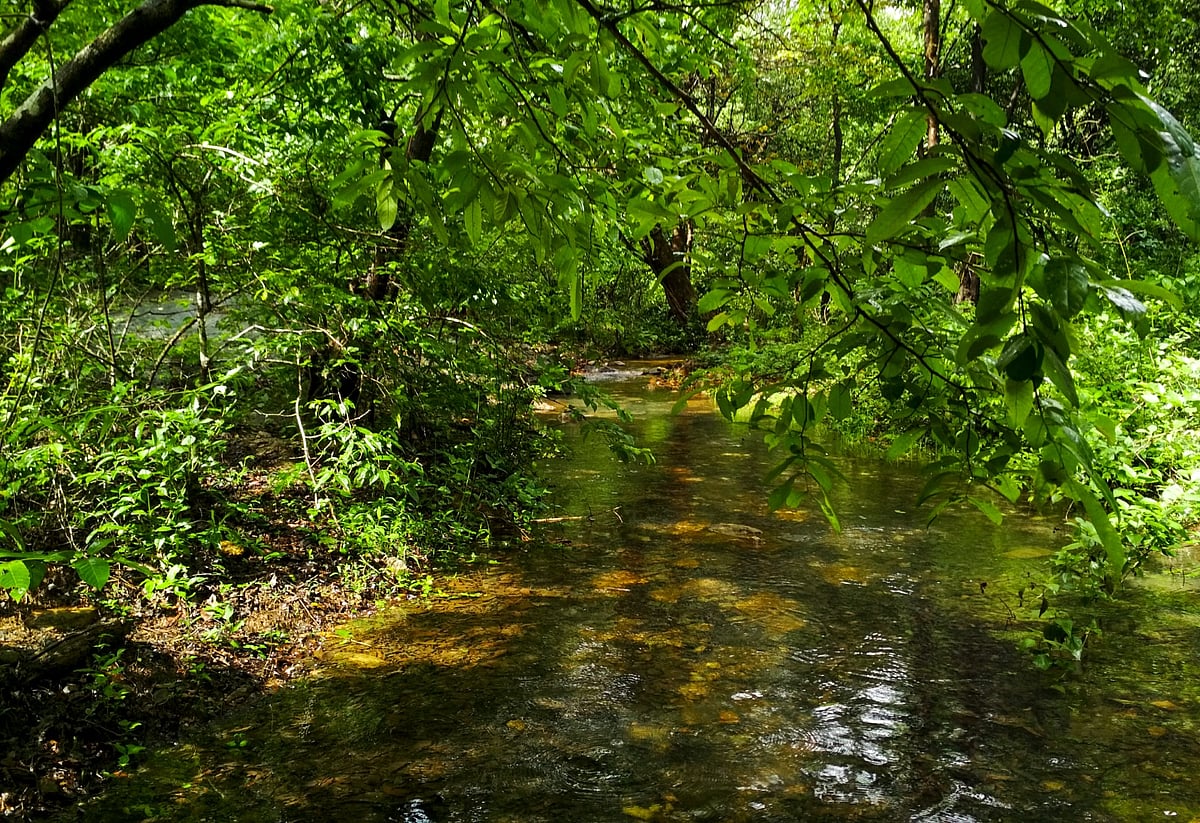 5 wildlife sanctuaries to visit in Goa on your next trip!