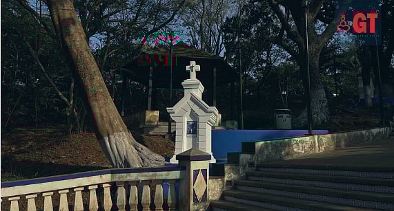 Your essential guide to forest birds of Goa