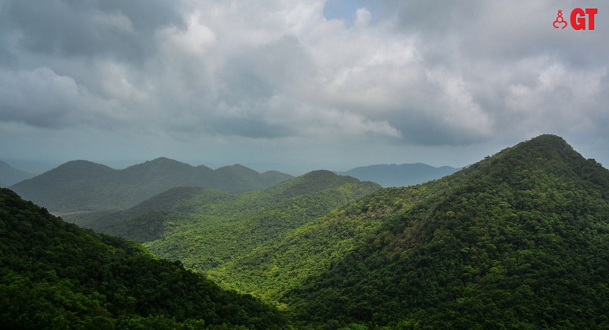 5 wildlife sanctuaries to visit in Goa on your next trip!