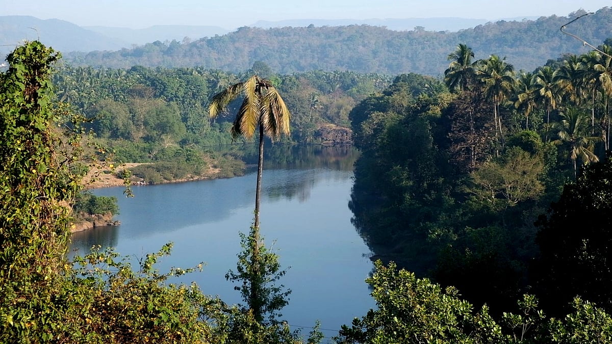 International Day of Forests 2023: Why Goa's sacred groves are so vital ...