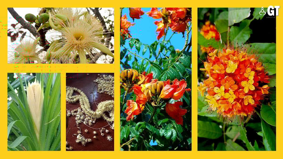 5 locations to rejuvenate in Valpoi this summer