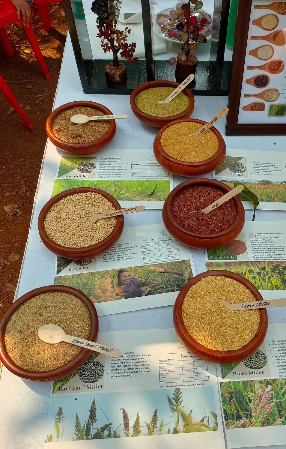 So many millet varieties were on exhibit at Goa's millet fest