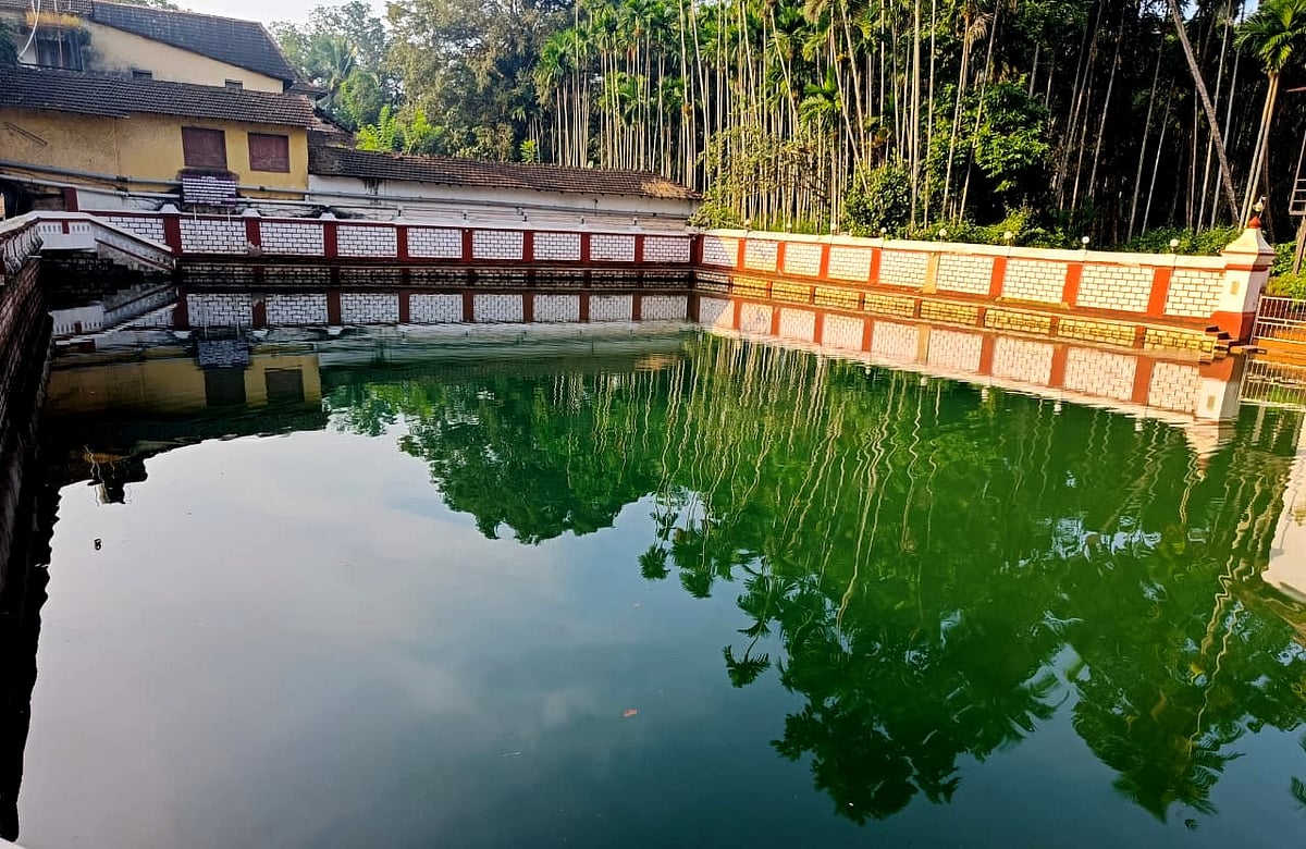 On World Water Day, let's gauge Goa's water scenario|Gomantak Times