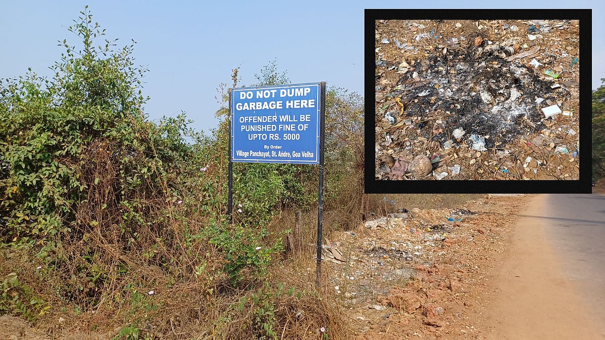 Goa needs to put its house in order to attract int'l tourists|Gomantak ...