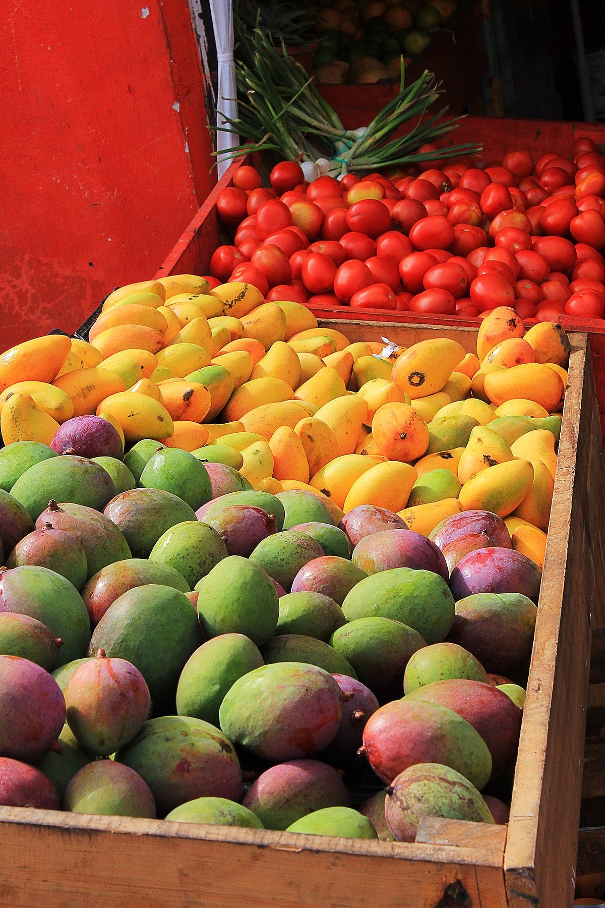 Summer is here, and so are the mangoes in the Goan markets! | Gomantak ...