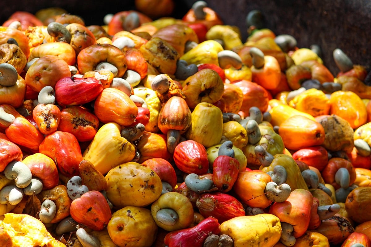 World Heritage Day: A guide to Goa's culinary heritage