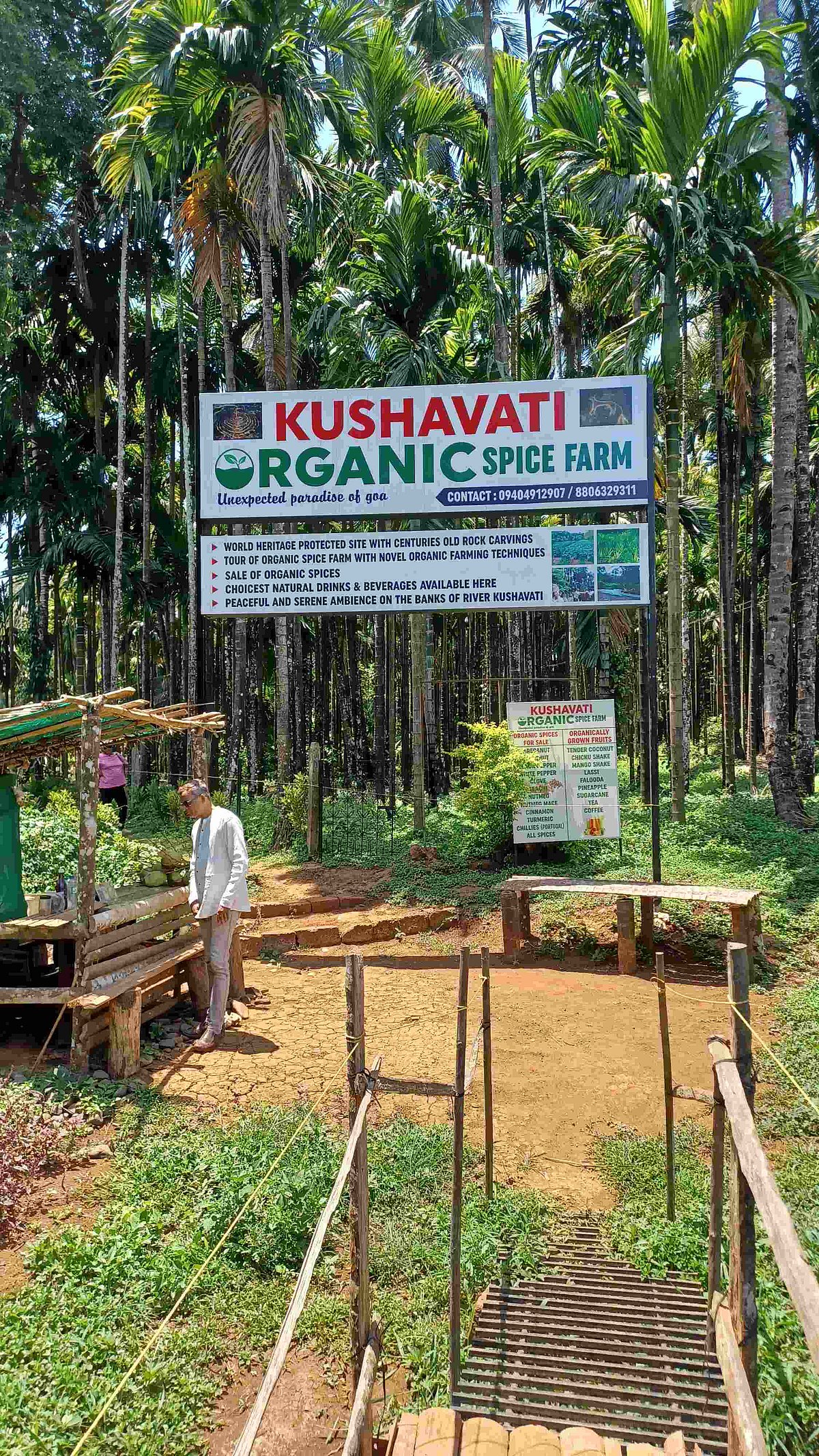 At Kushavati farm in South Goa find yourself in lap of nature|Gomantak ...