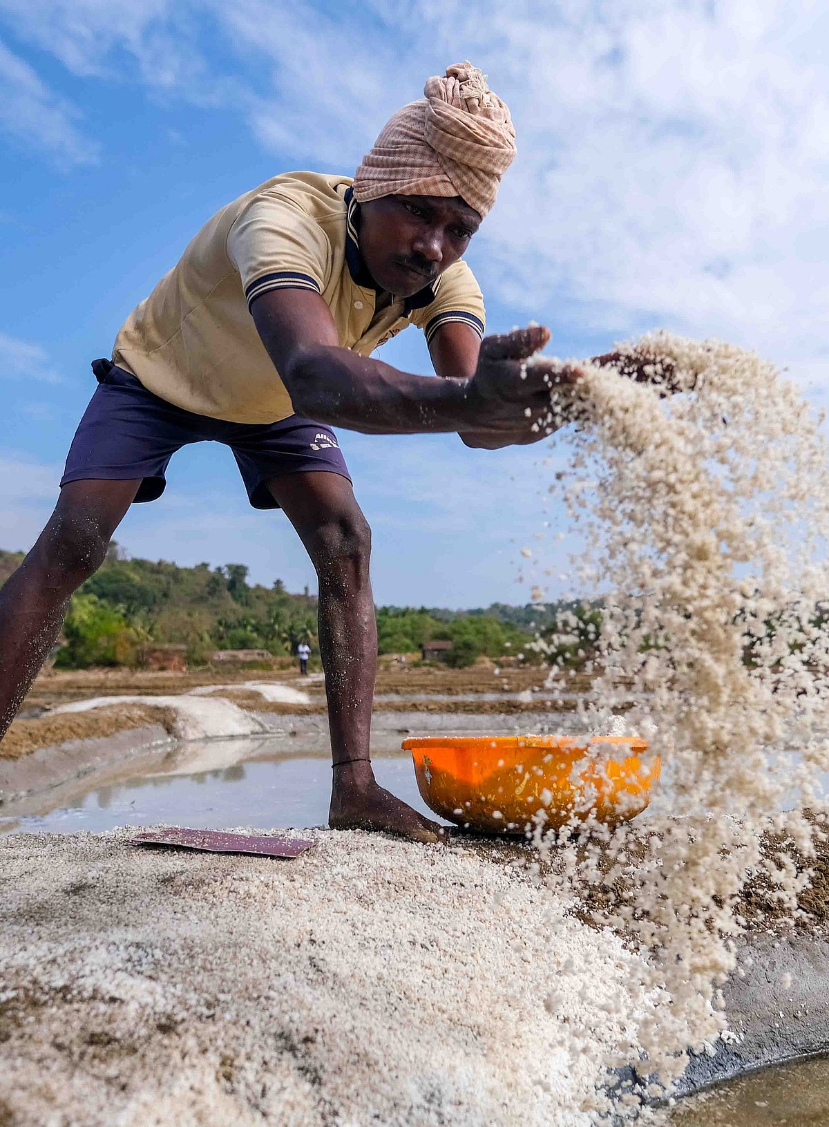 Want to see the salt pans of Batim, Goa Velha?