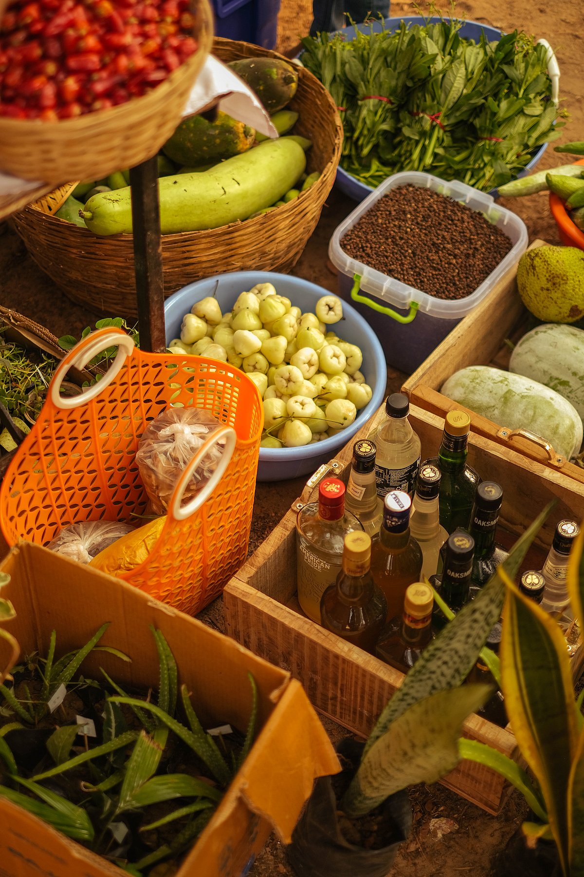 Goan Farmers' Market in Navelim a big draw|Gomantak Times